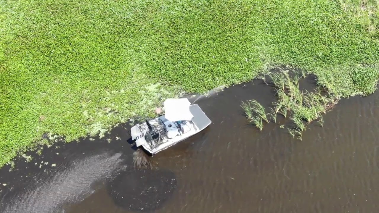 The FWC sprays the Monkey Box - YouTube