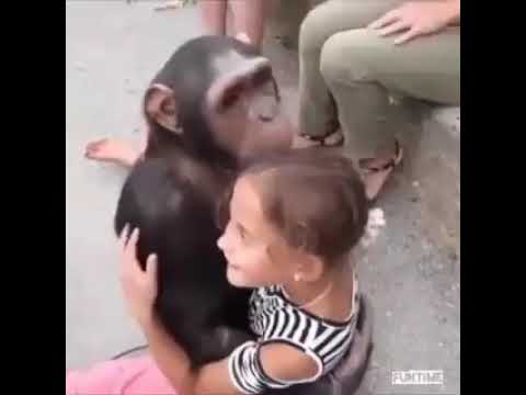 Monkey Flirt with Cute Girl | Funtime - YouTube