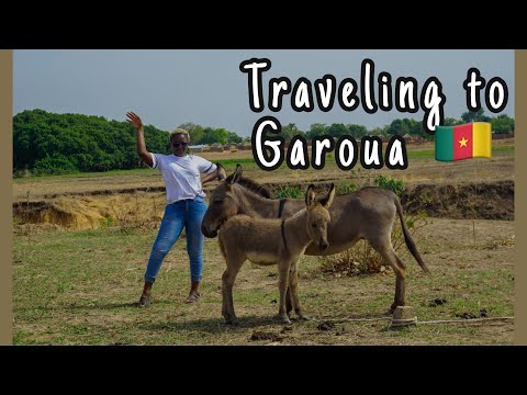 Traveling to the North of Cameroon | My experience going to Garoua