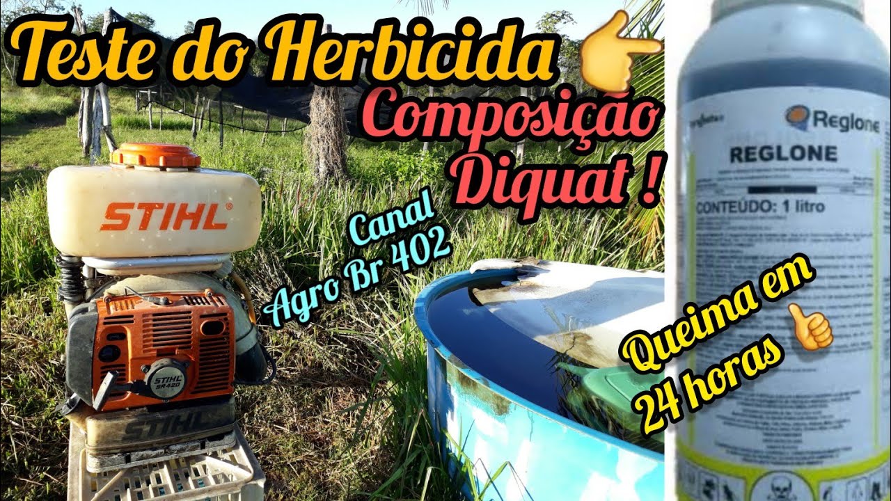 MATA MATO CAPIM / MATA TUDO HERBICIDA REGLONE 👉 DIQUAT TESTE COMPROVADO ...
