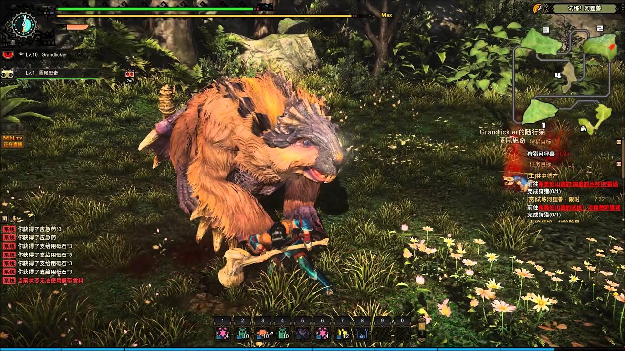 Monster Hunter Online - Killing a fat beaver - YouTube
