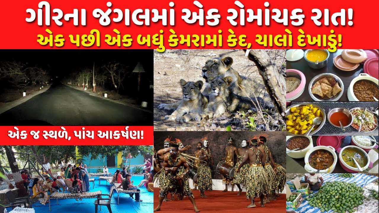 Best Tourist Place at Sasan Gir, Gir Forest, Gir Farm House, Gir Lion ...