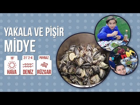 Yakala Ve Pişir Midye | Midye Dolma Tarifi