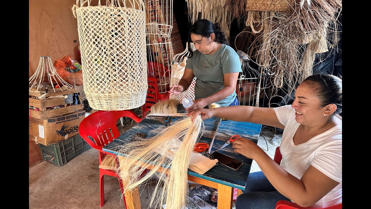 How henequen is making a comeback from use in Yucatan - YouTube