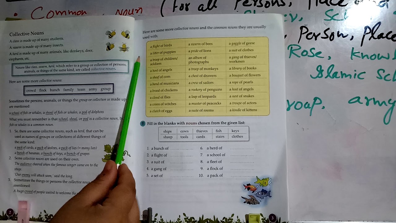 GRADE 3, English Grammar (Noun, Common,Proper and Collective noun ...