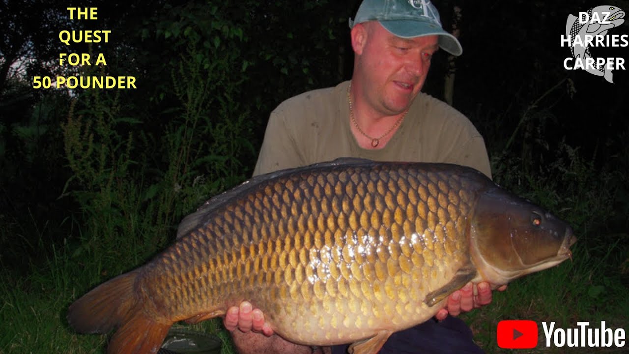 48 hrs carp fishing at old mill lakes , The quest for a 50 pounder part ...