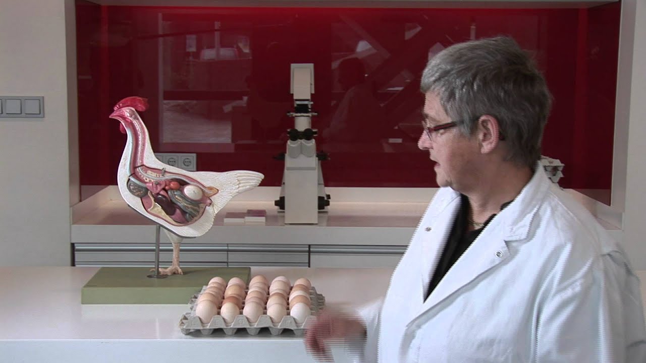 Pas Reform Academy -- Future Focused Incubation - YouTube