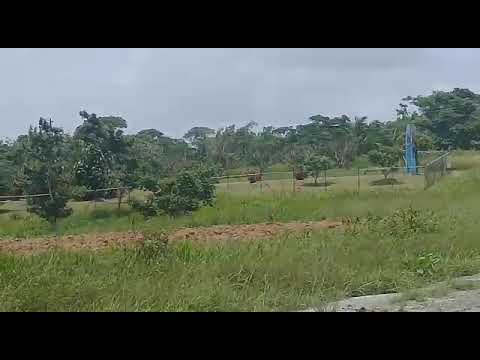 Piparo Empowerment Centre Exterior - Formally one of Dole Chadee ...