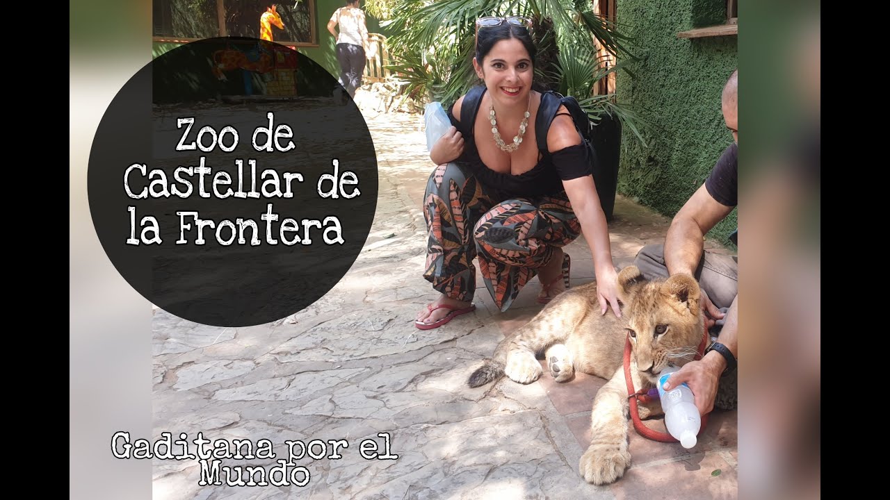 Zoo de Castellar de la frontera | Gaditana por el mundo - YouTube