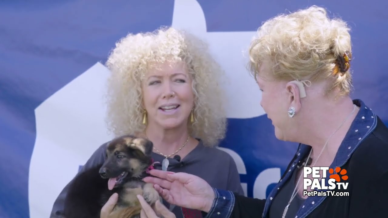 Catching Up with Jennie DeVoe - YouTube