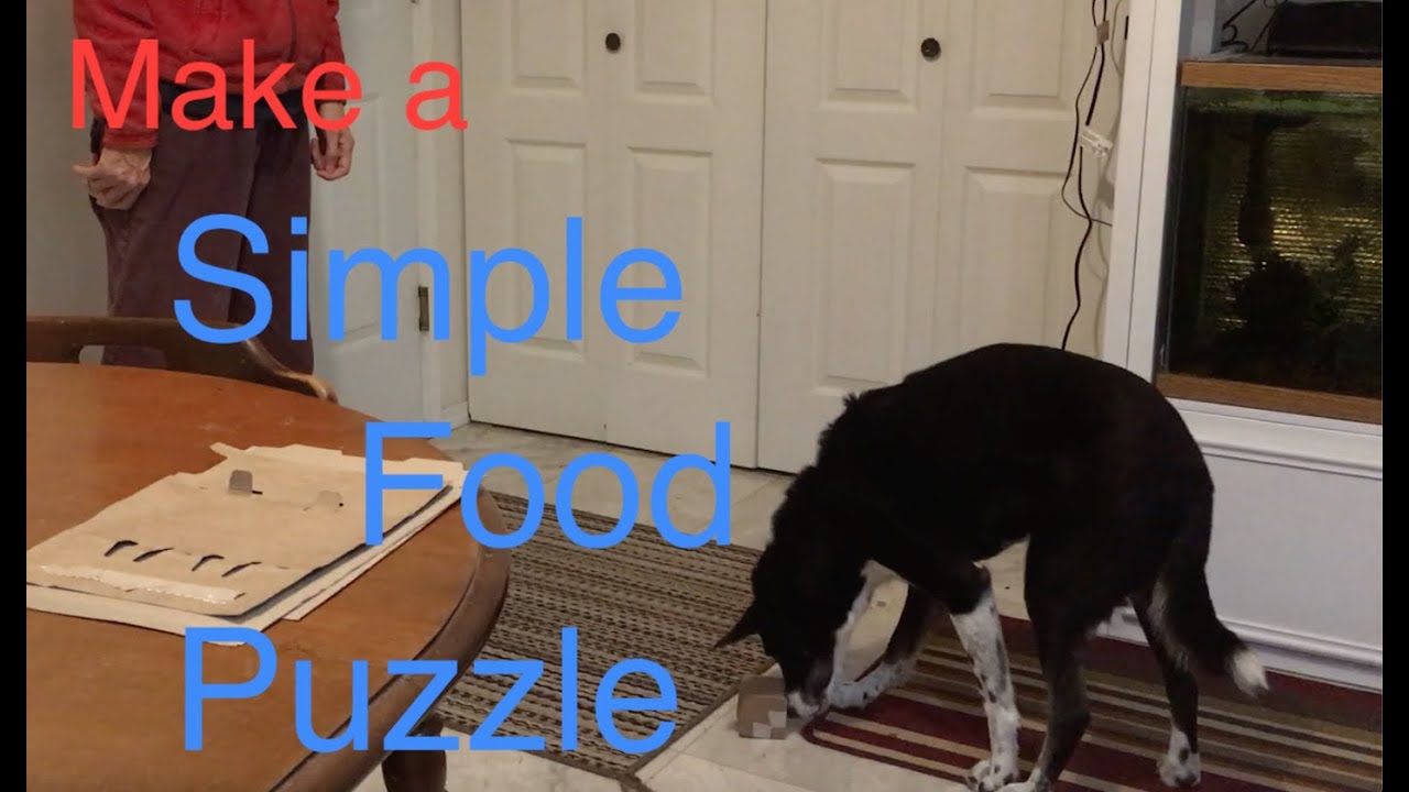 cardboard food puzzle box enrichment game - YouTube