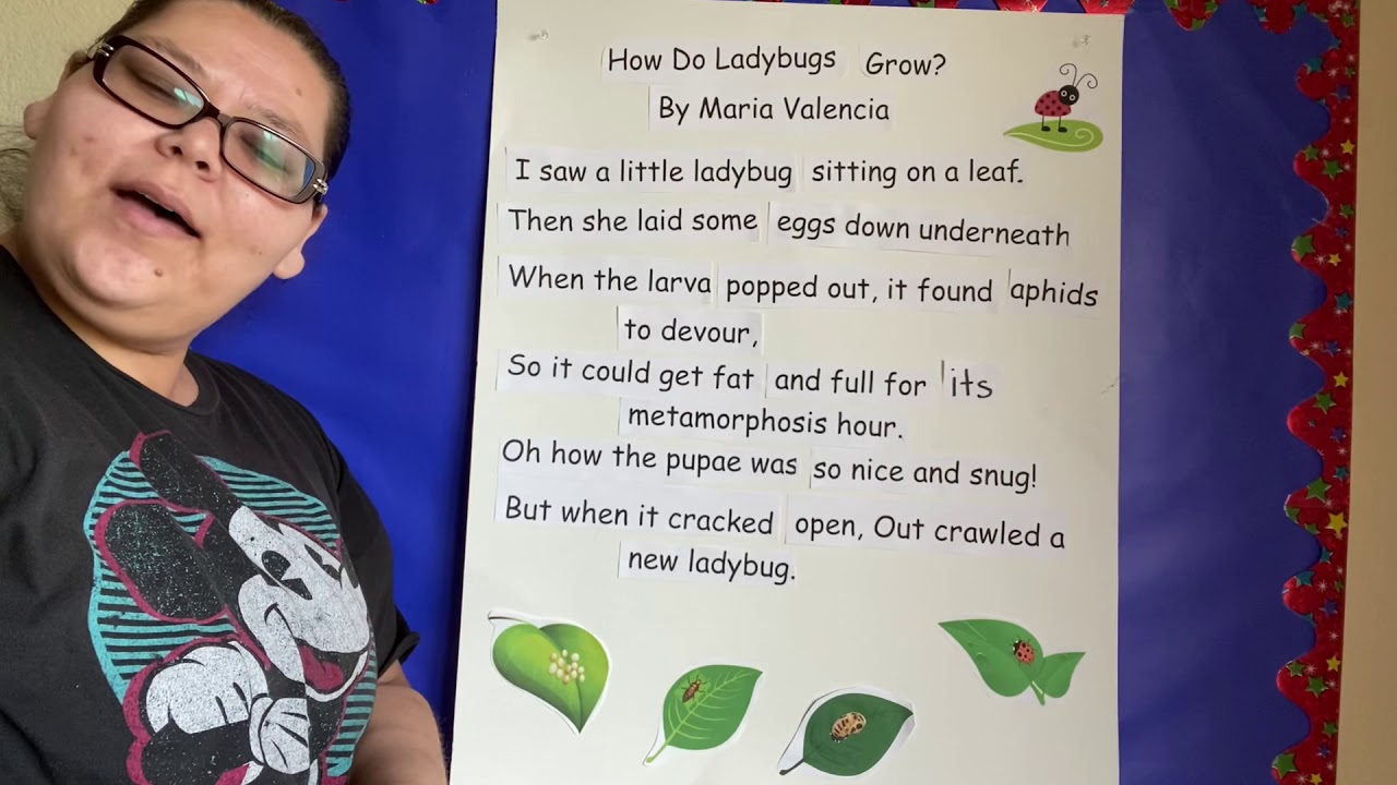 How do ladybugs grow? A Poem by Maestra Valencia - YouTube