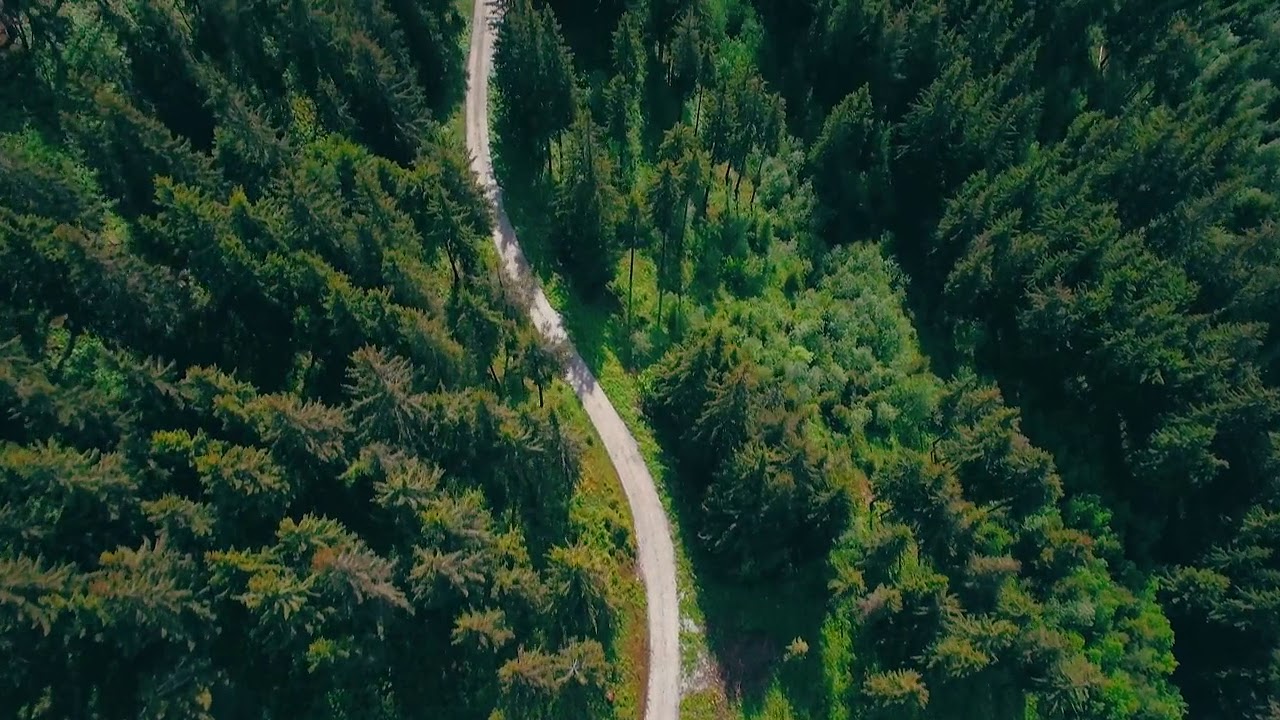 Wavy Road Bird View | Royalty Free Video - YouTube