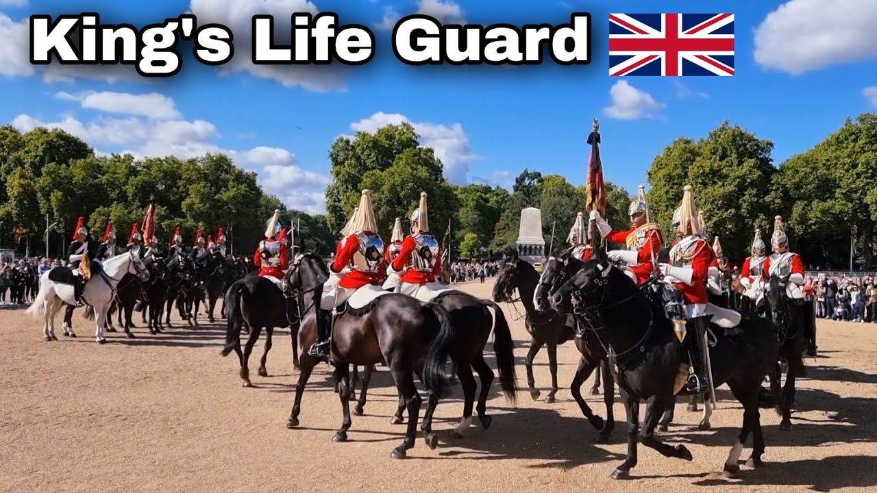 You'll never seen this before! King's Life Guard | Blues and Royals ...