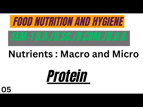 Introduction to Proteins | Essential and Non Essential Proteins ...