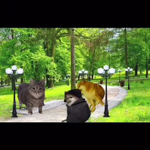 con chim #cheem #côn #capcut #edit #meme (Lần đầu edit mong mọi người ...