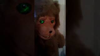 Demonic Toys Grizzly Teddy