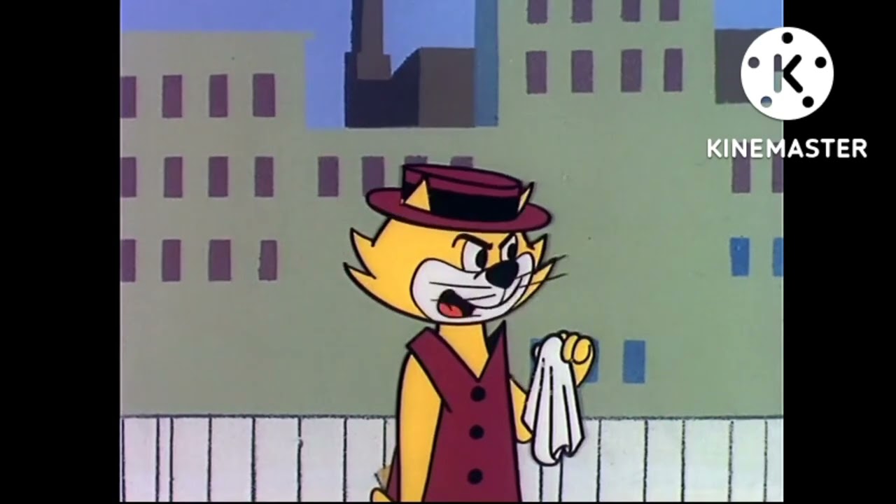 Top Cat Is Crying Little Bit - YouTube