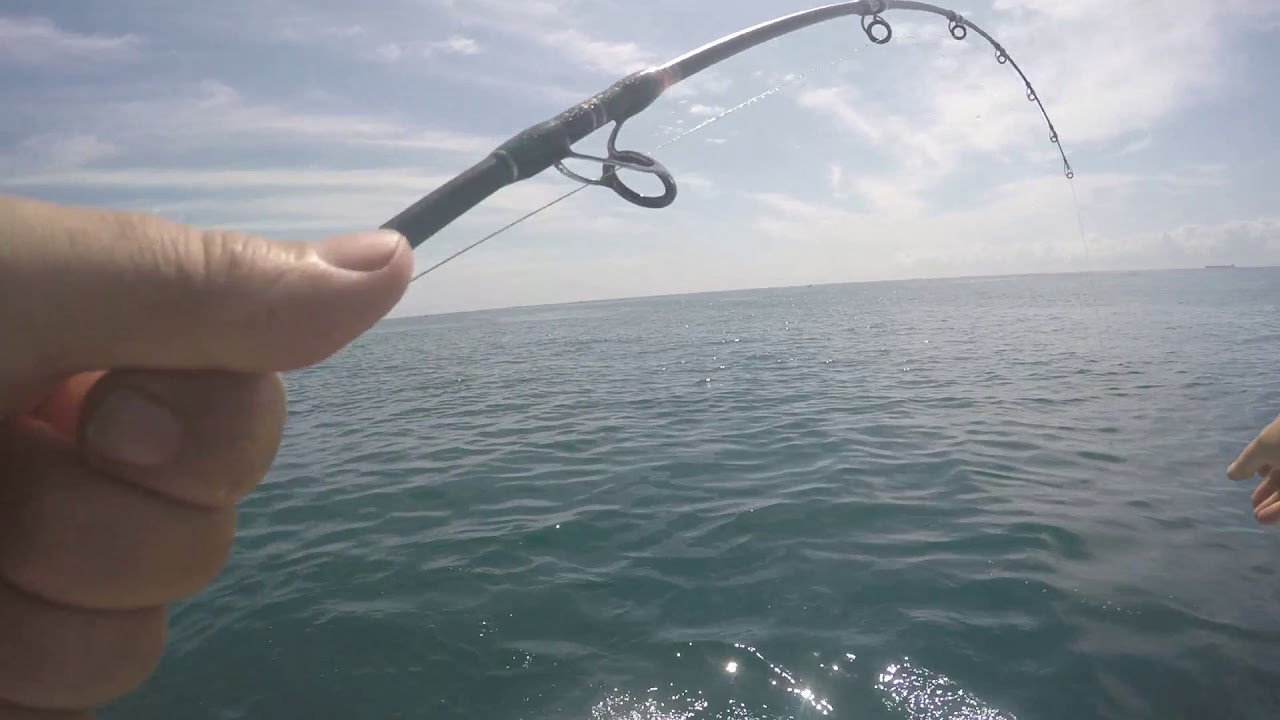 Lure Fishing Durban Backline with Cathederal Peak Wines - YouTube