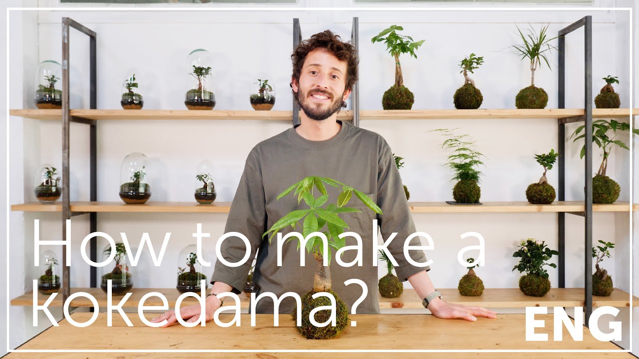How to make a kokedama? (English version) - YouTube