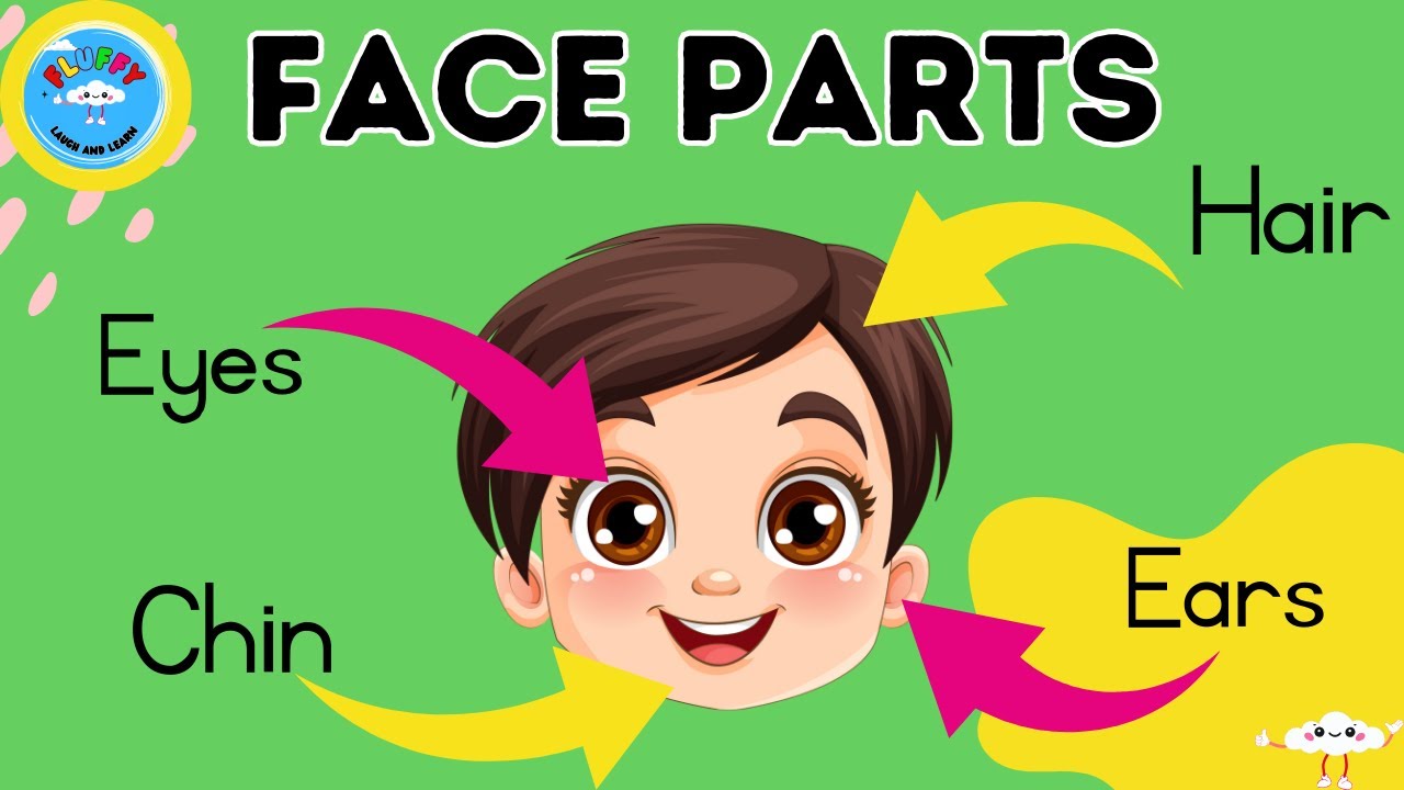 Parts Of The Face// Learn Parts Of The Head For Kids// Educational ...
