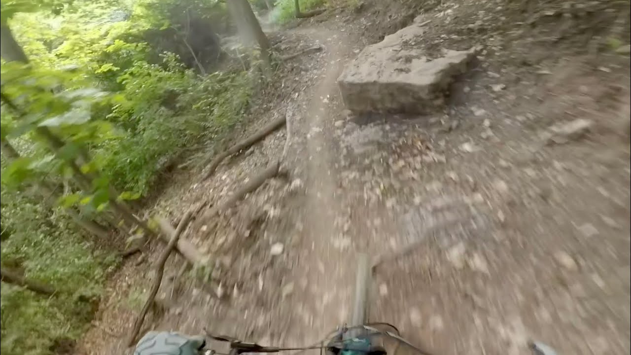 Humpular / Crater Trail 8/16/2022 Frick Park Swisshelm Park Pittsburgh ...