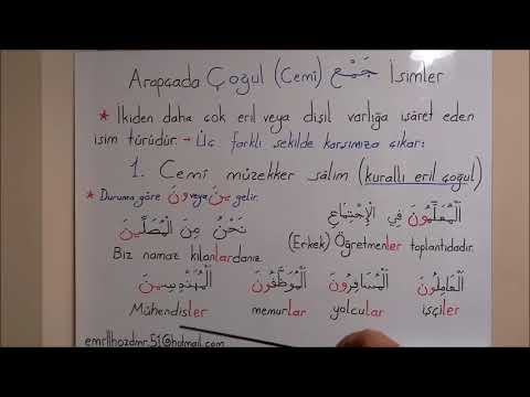 Arapçada Çoğullar (Cem-i Müzekker Salim/Cem-i Müennes Salim/Cem-i Teksir)