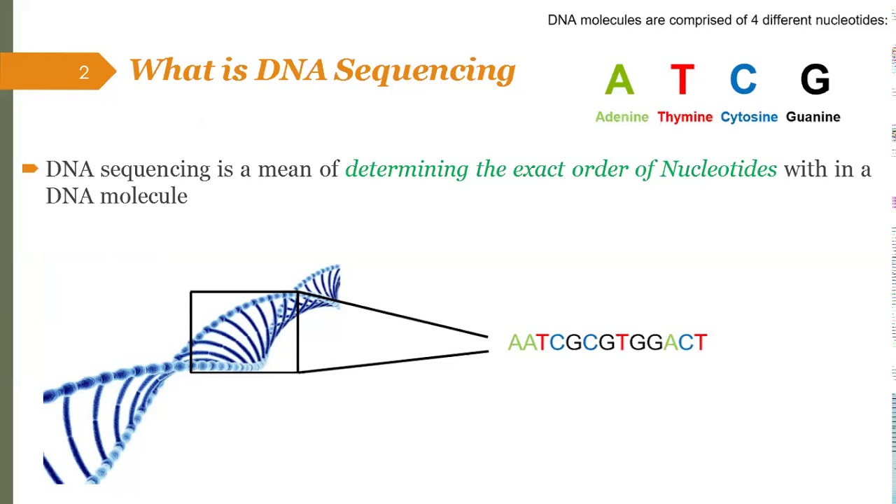 Sequencing (Part A) - YouTube