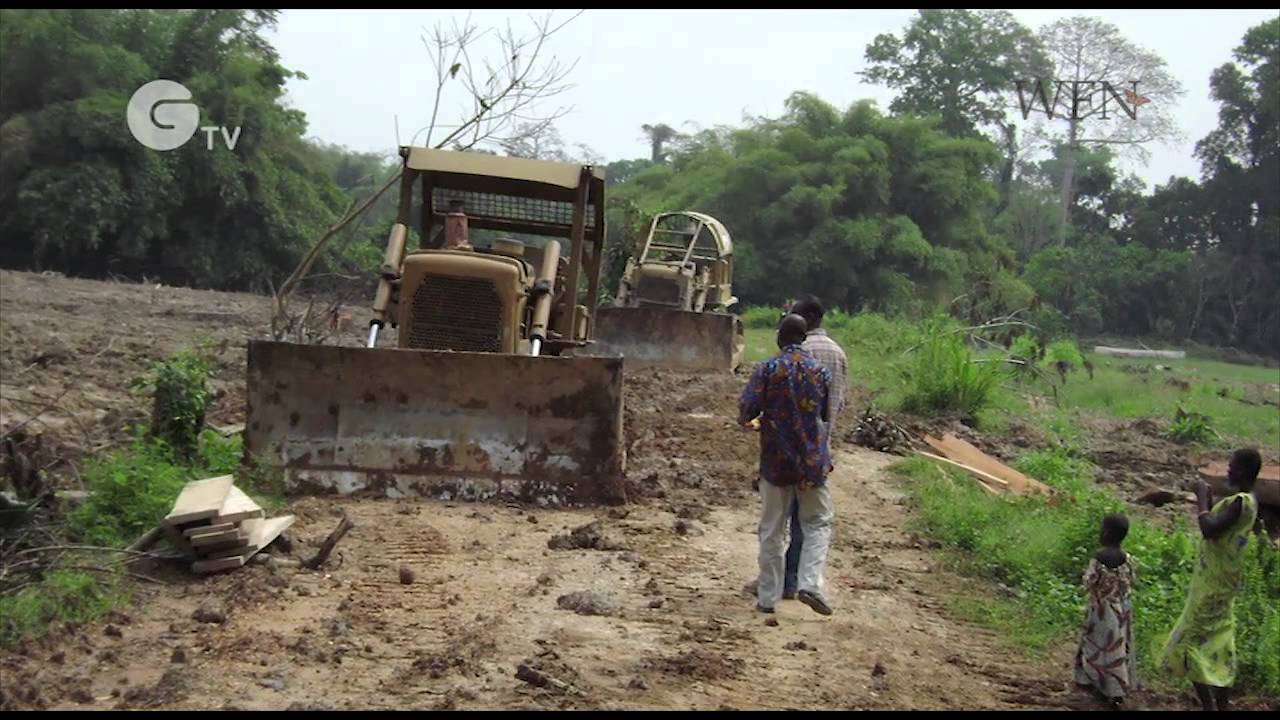 Inza Koné - primate conservation in West Africa - YouTube