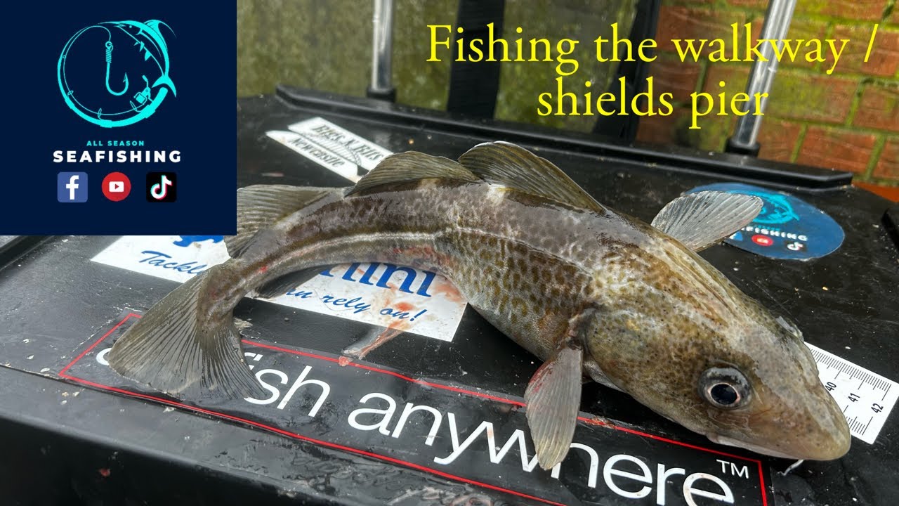 Fishing the walkway and south shields pier - YouTube