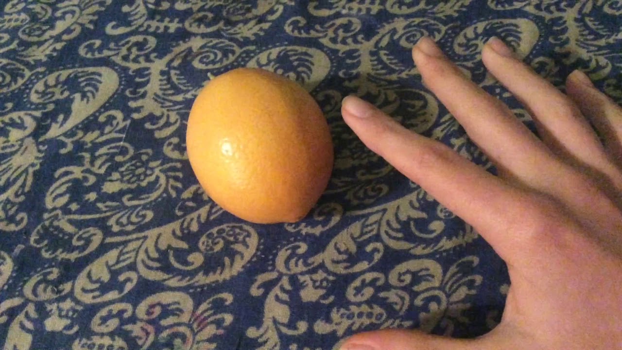 Summoning A Lemon Everyday Until I’m Famous - Day 10 (perfect lemon ...