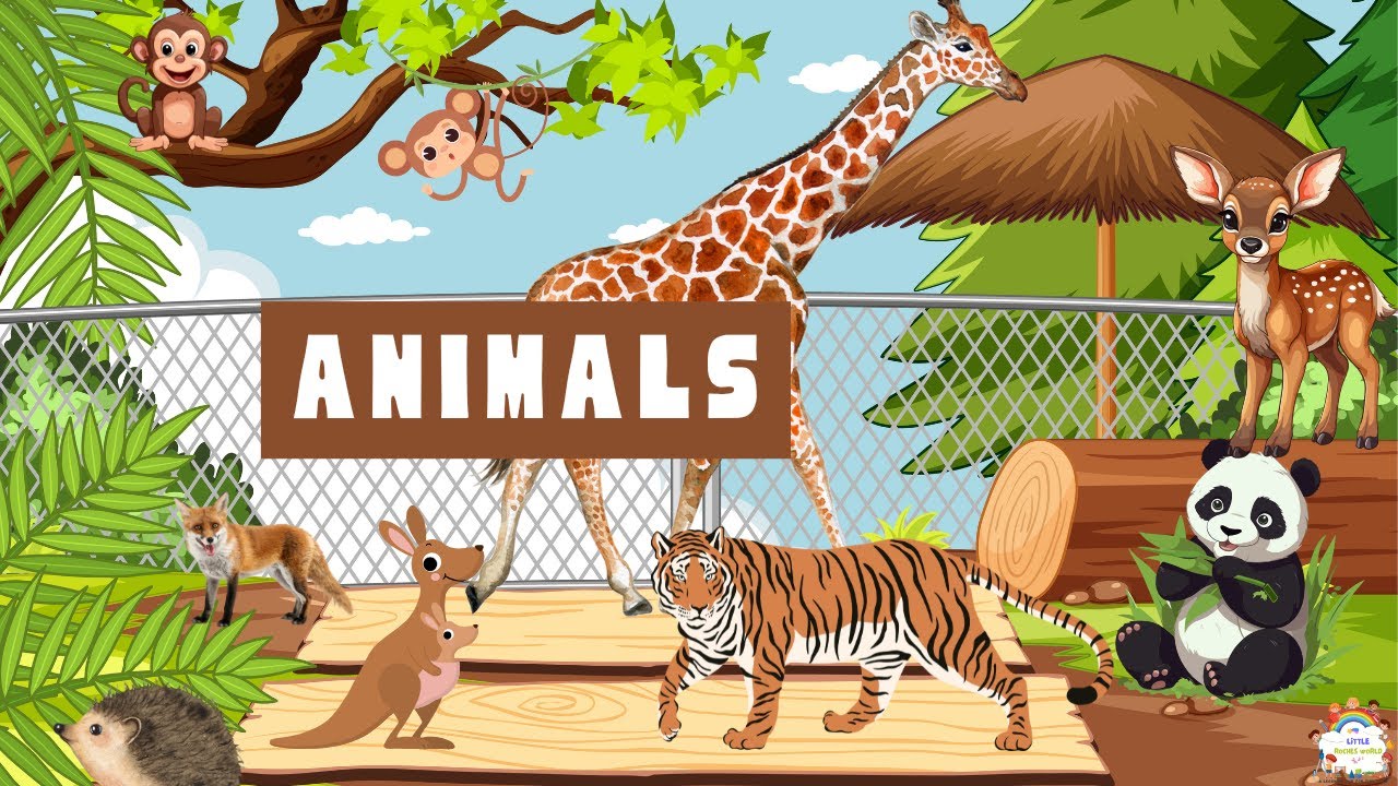 Meet the Animals! 🐾 Fun Animal Names for Kids - YouTube