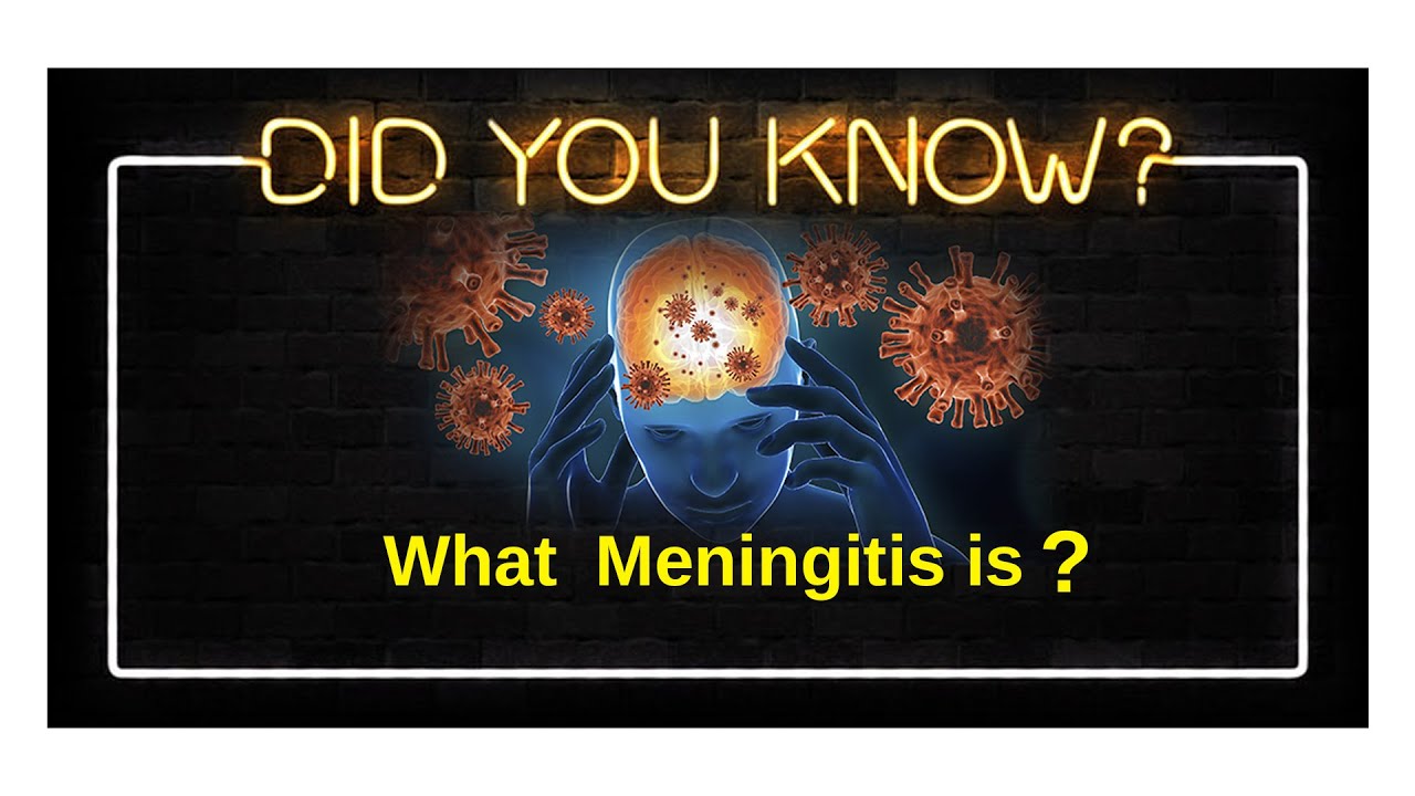 Can u know about the Bacteria causes Meningitis..! INTERESTING FACTS ...