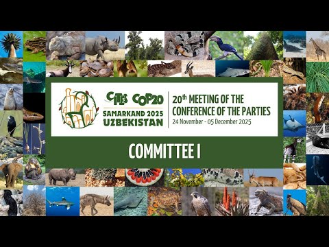 CITES CoP20 Committee I - Morning (November 29)