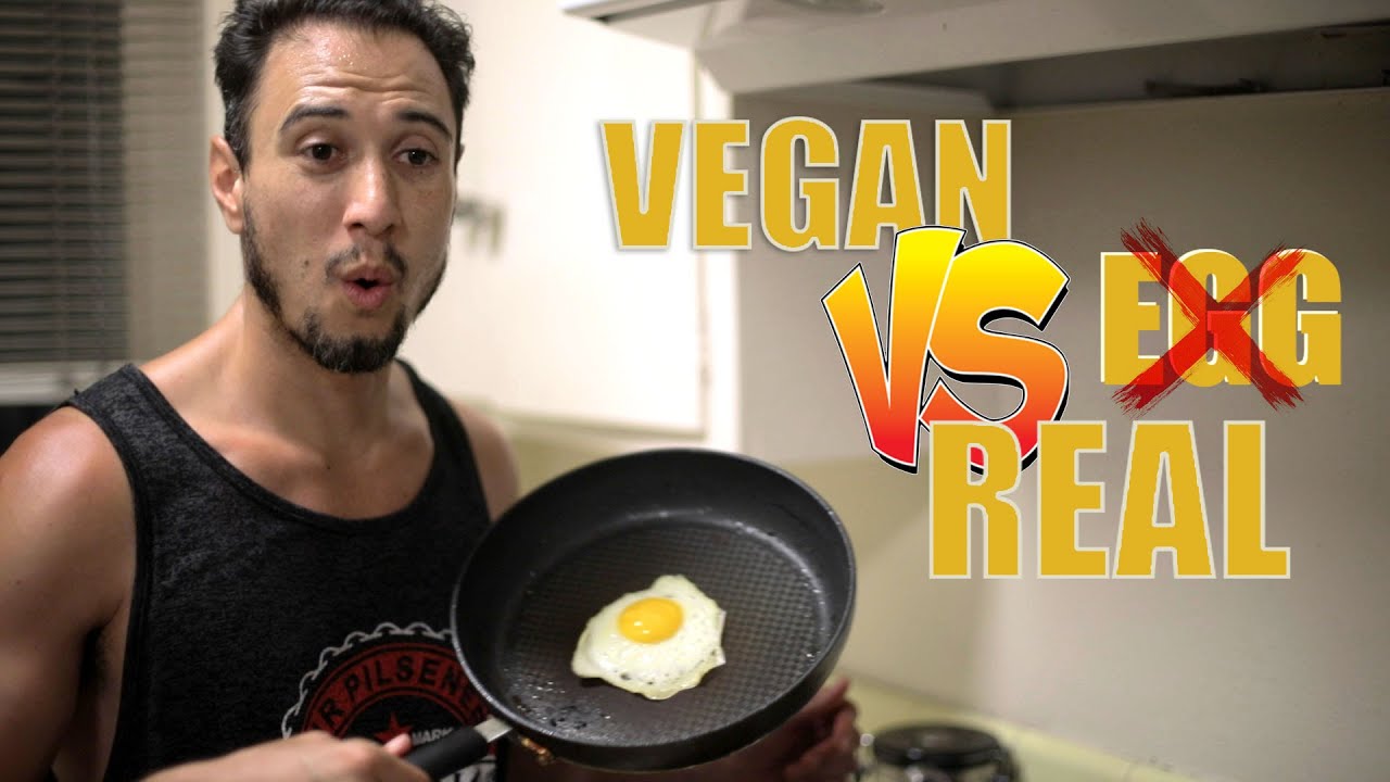 Vegan vs Normal - YouTube