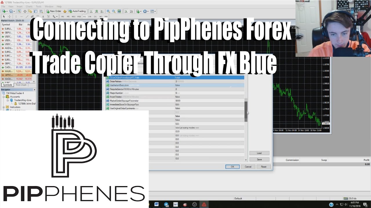 How to Connect to PipPhenes Trade Copier Through FX Blue! - YouTube