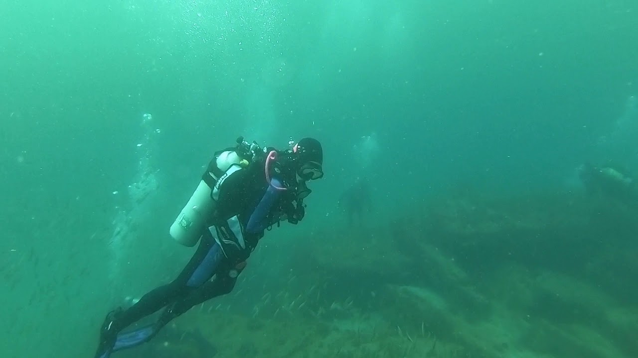 Warrior Reef 8-17-2018 - YouTube