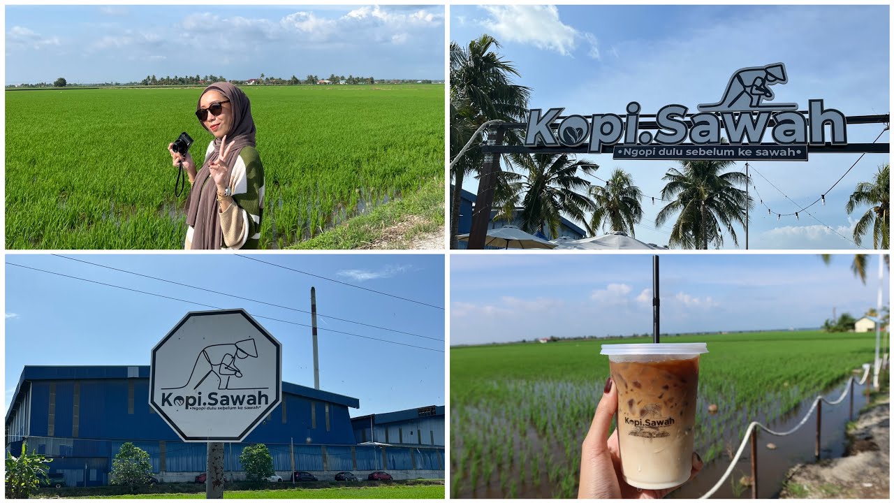 KOPI SAWAH ☕️🌱 | SEKINCHAN, SELANGOR - YouTube