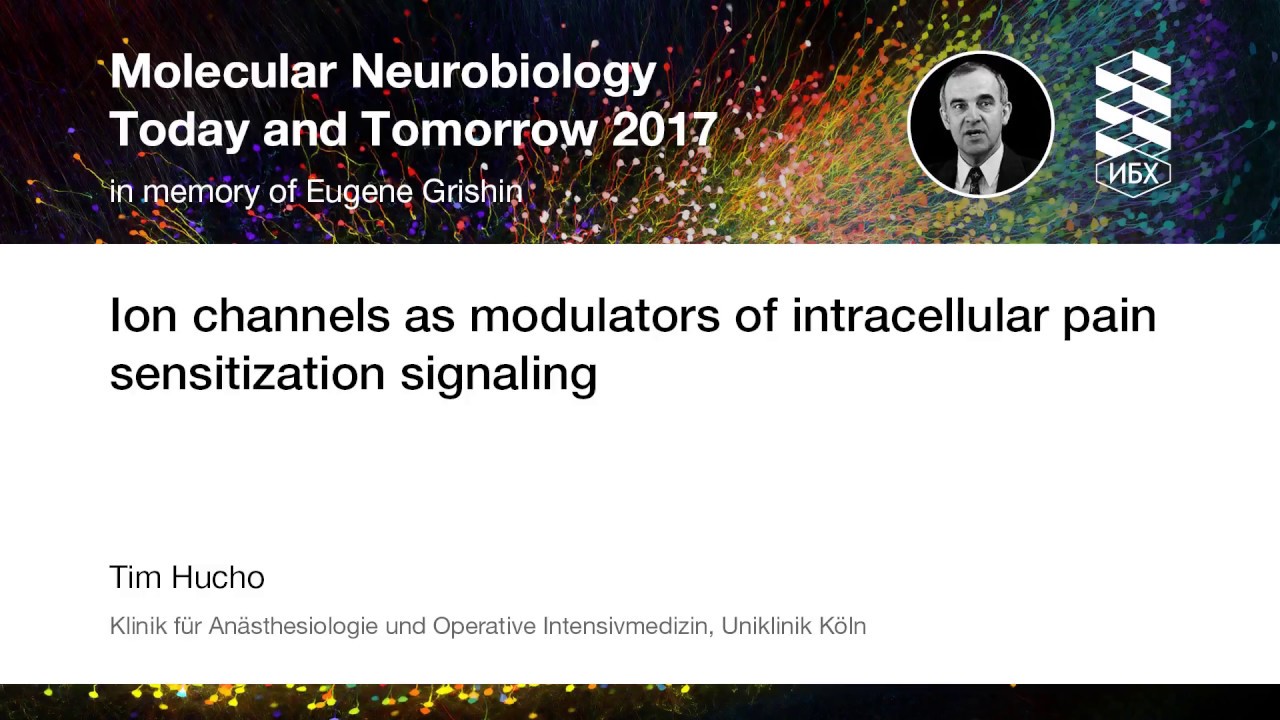 Ion channels as modulators of intracellular pain sensitization ...