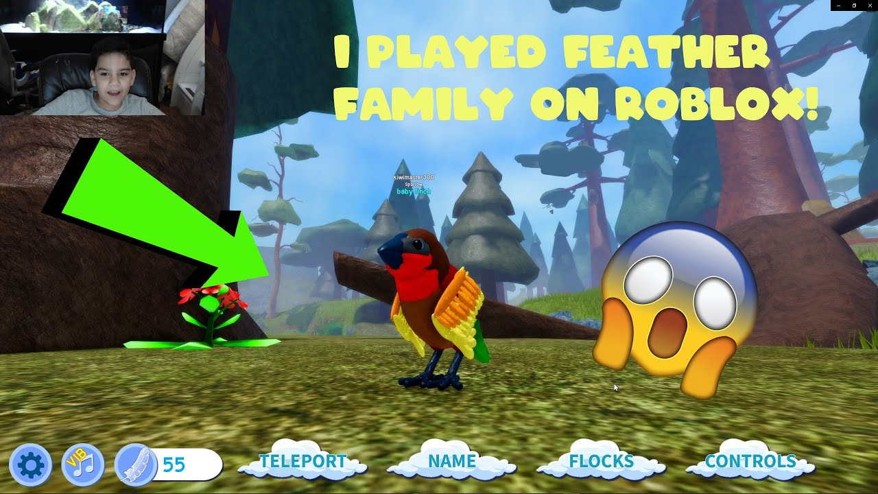 Adrian play's Feather family! - YouTube