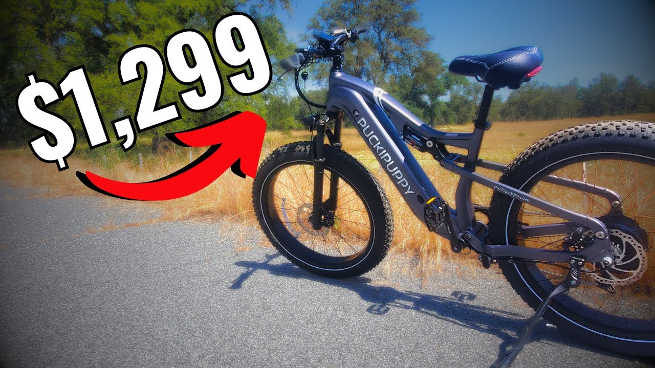 Full Suspension on an Amazon Budget - Puckipuppy Labrador - YouTube