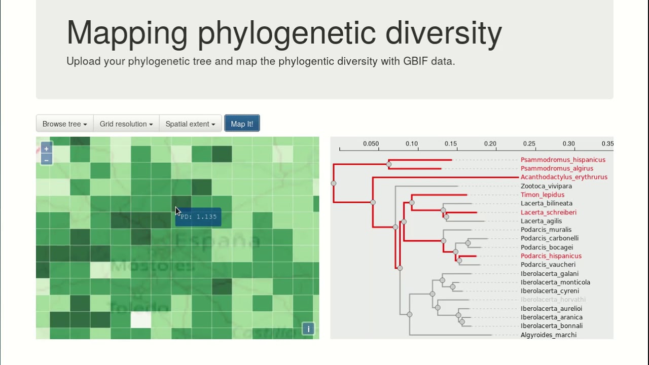 Mapping phylogenetic diversity - YouTube
