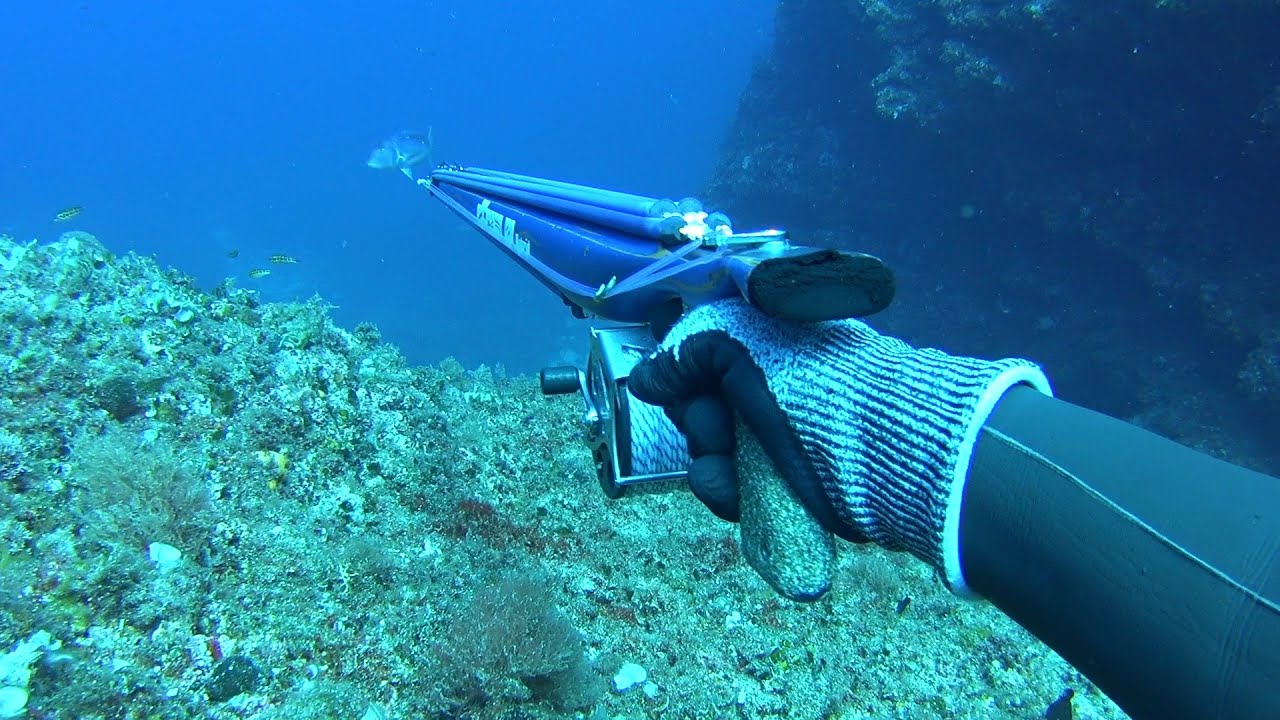ΤΑΞΙΔΙ ΣΤΙΣ ΣΠΟΡΑΔΕΣ ΓΙΑ ΨΑΡΟΝΤΟΥΦΕΚΟ🔱SPEARFISHING IN AEGEAN - YouTube