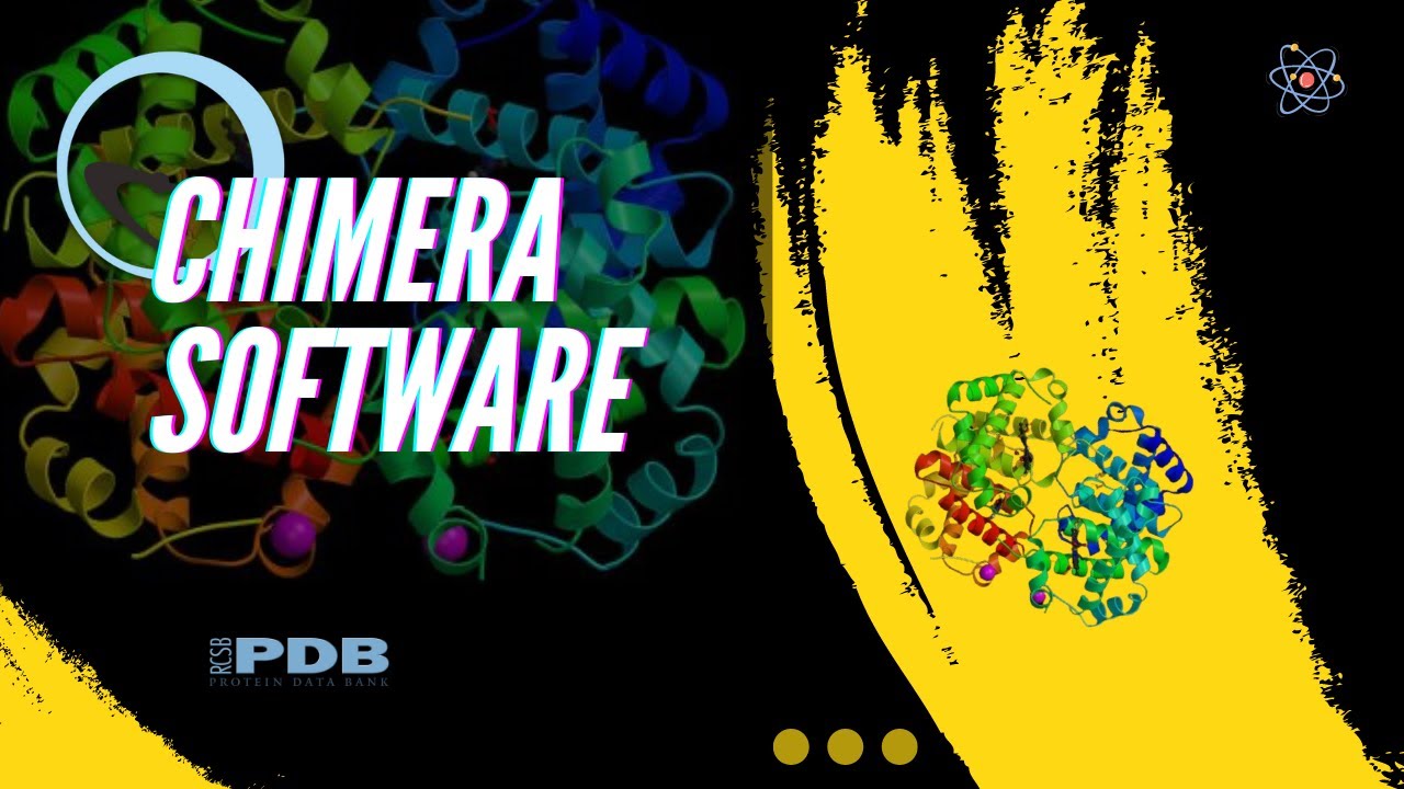 🧬Chimera Software Basic Steps | An Excellent Dry Laboratory Tool 🧬💻 ...