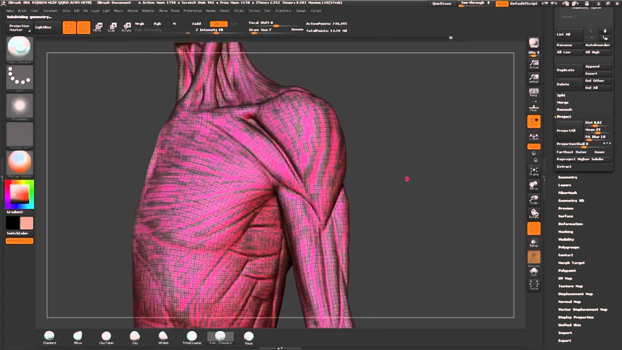 ZBrush tutorial: Anatomy sculpt - projecting - YouTube