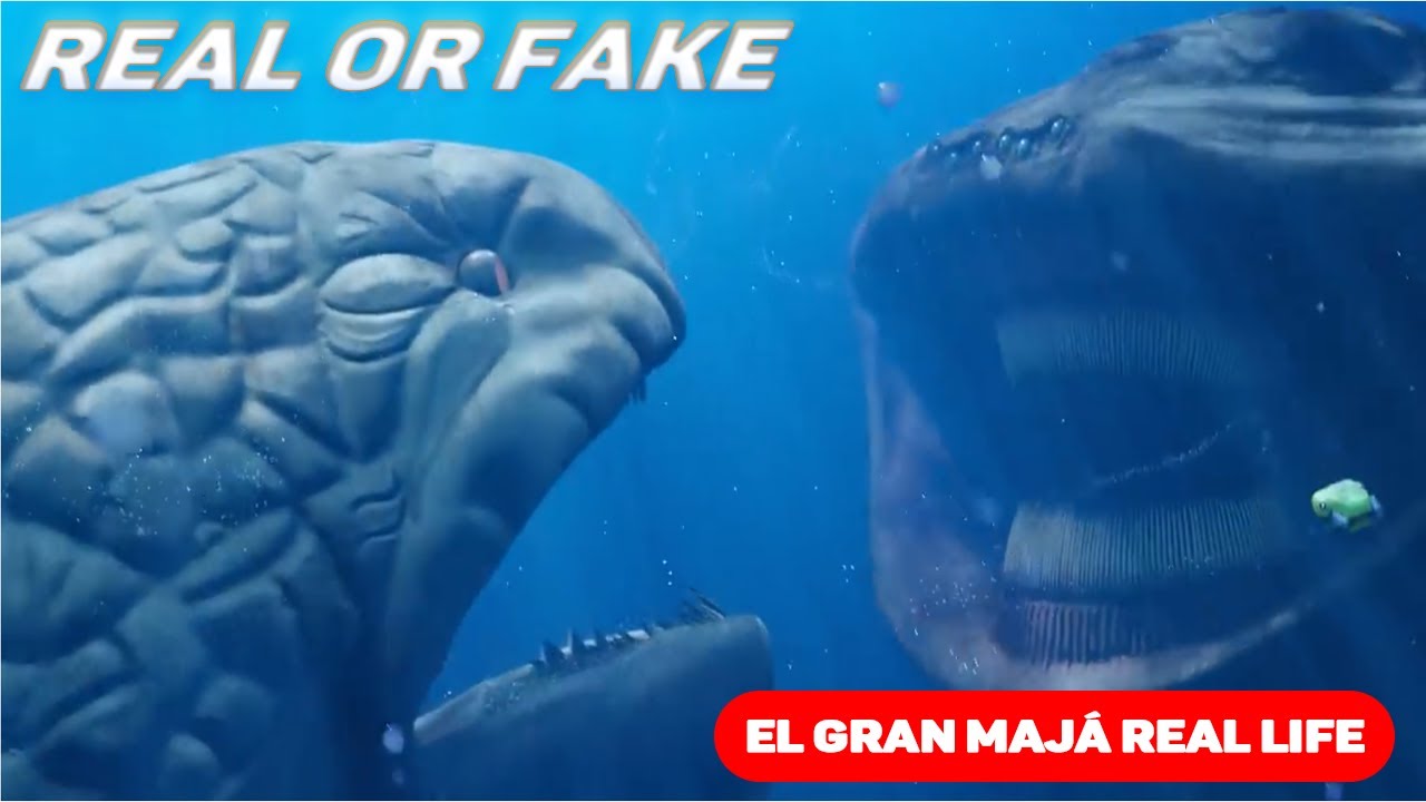 El Gran Maja Real Life Real Or Fake | El Gran Maja vs Bloop: Truth ...