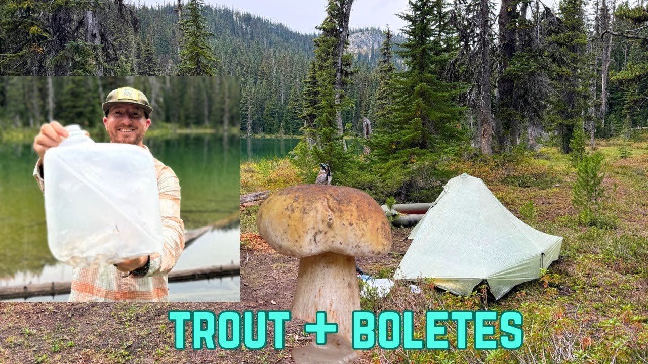 Backcountry Camping, Fishing, Mushroom foraging, and Fish Stocking ...