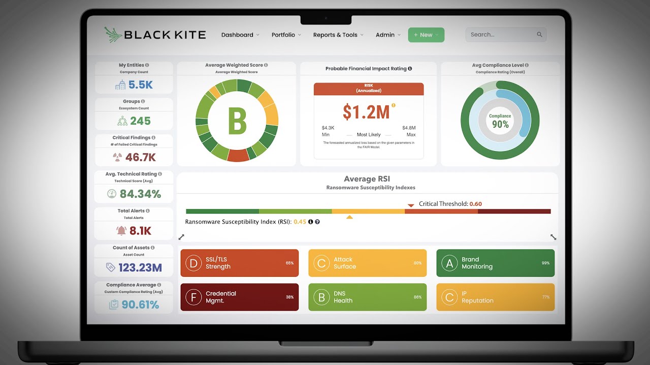 Black Kite Overview - YouTube