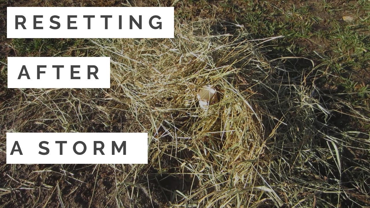 How to fix your trap line after a storm - YouTube