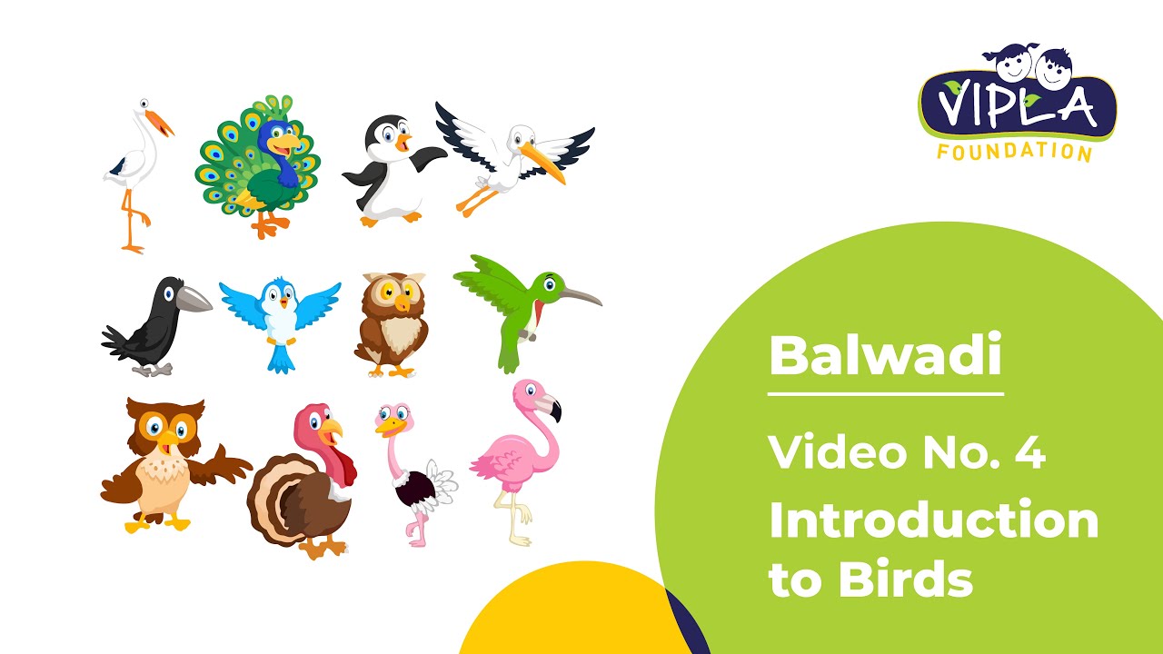 Balwadi - Video No. 4 - Introduction to Birds - YouTube